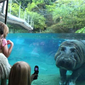 Riviera Mobile Home Park and RV Park | Encinitas, California